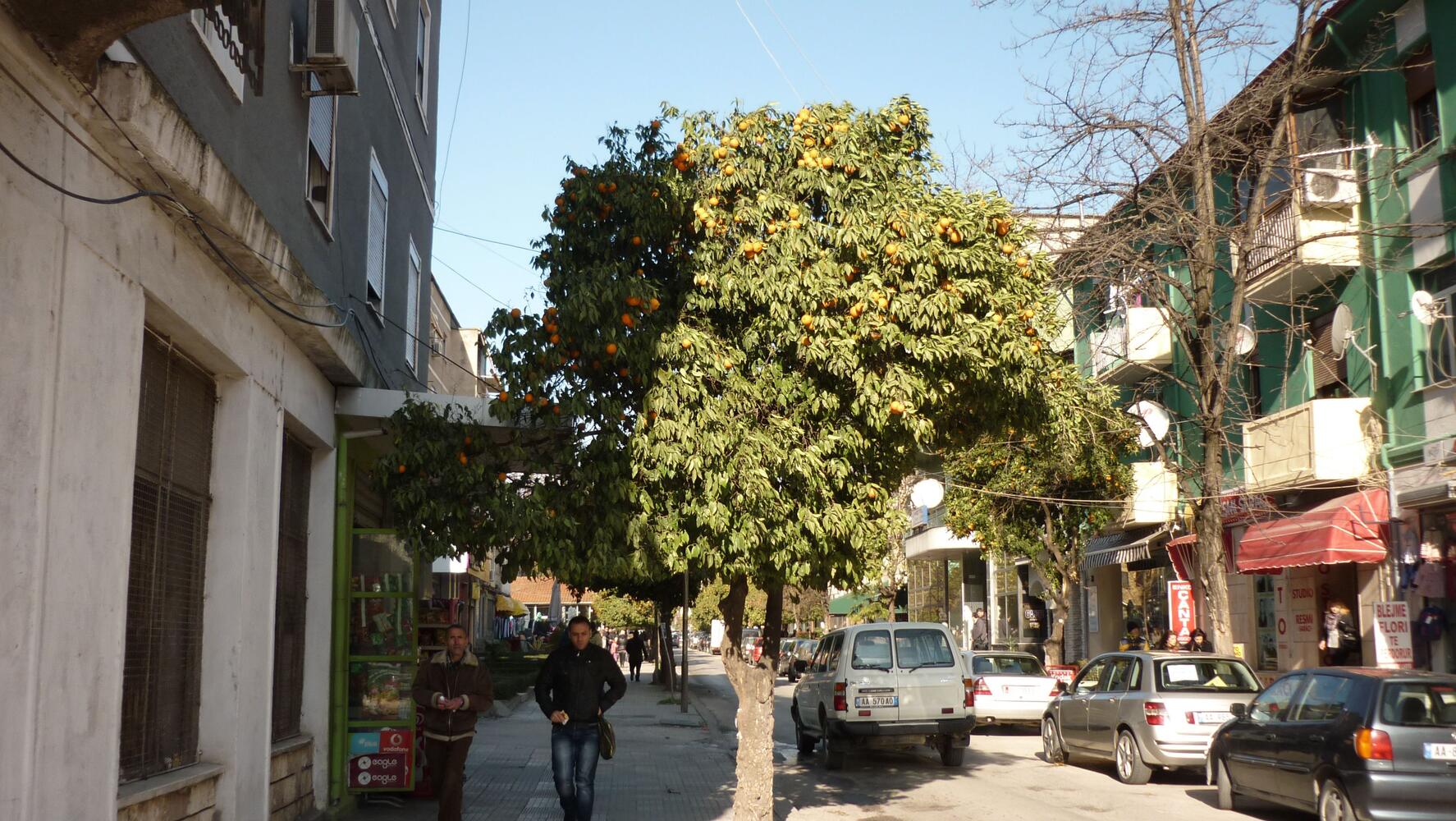 Diario d’Albania. Elbasan, l’antica Skampa degli Illiri • Nove da Firenze