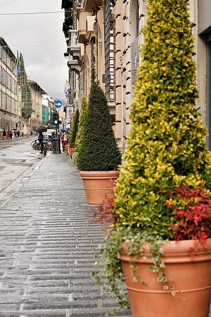 Firenze: nuovi arredi urbani in via Cavour • Nove da Firenze