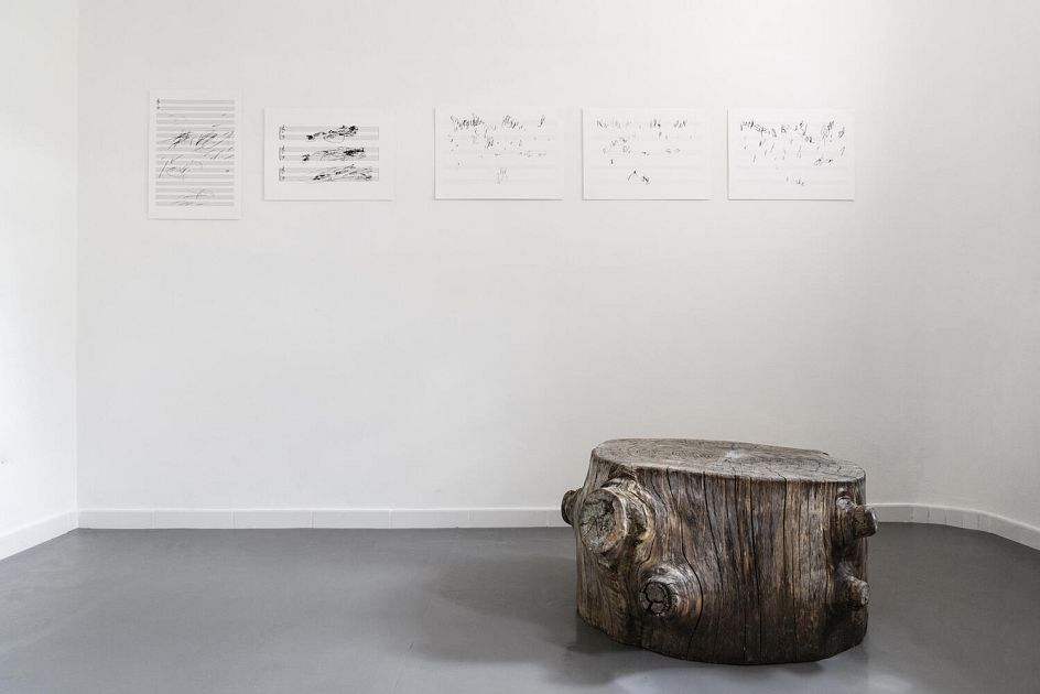 Le piante “compositrici” di Stromberg • Nove da Firenze