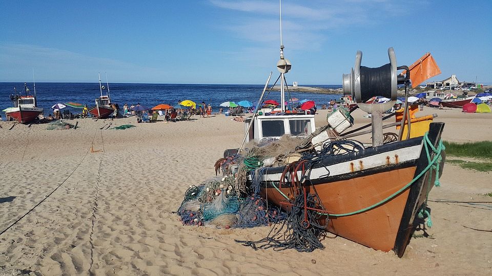 In Toscana allo studio la Pesca - Turismo per mangiare e dormire con i ...
