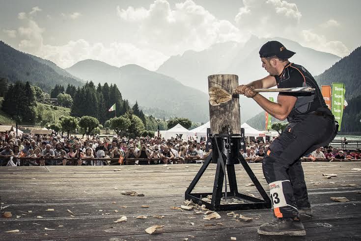 In Toscana i migliori taglialegna del mondo • Nove da Firenze