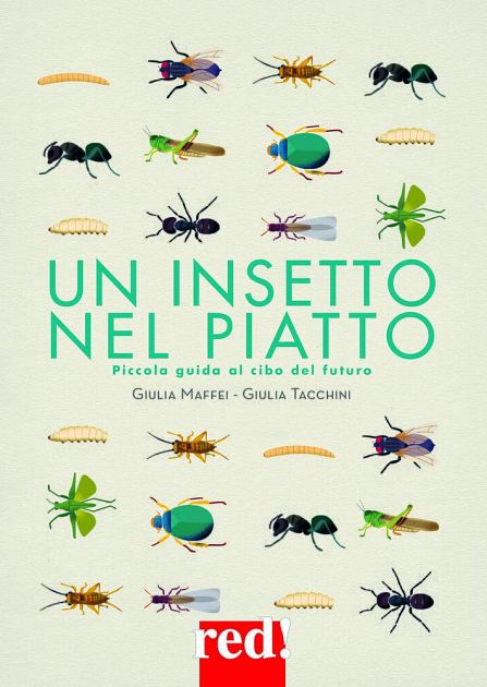 Un insetto nel piatto • Nove da Firenze