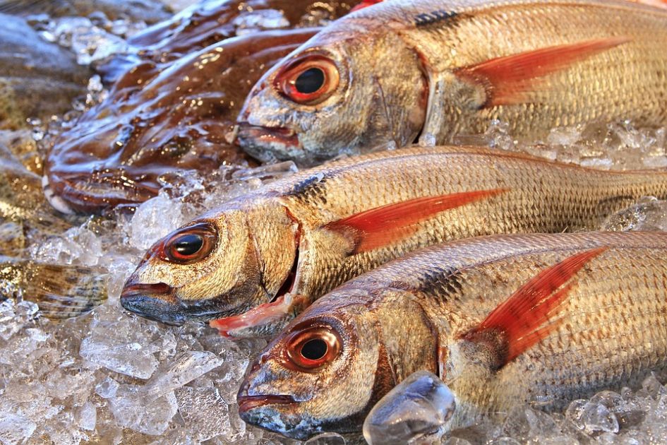 Menù di Natale: scegliere triglie, cicale, seppie e pesci prete • Nove ...