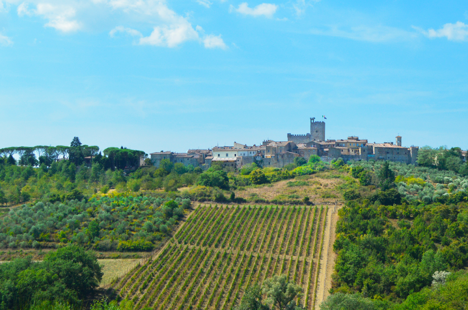 Festa della Misericordia a Castellina in Chianti • Nove da Firenze