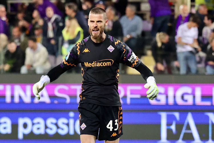 La Fiorentina esalta De Gea: c'è un altro David in città • Nove da Firenze