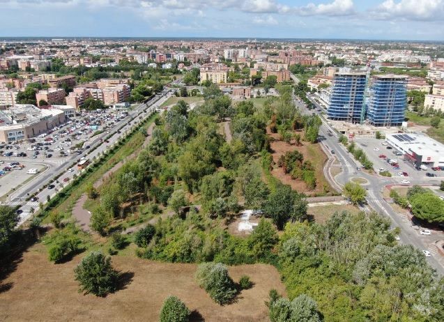 Verde urbano, Pisa vince un premio nazionale • Nove da Firenze